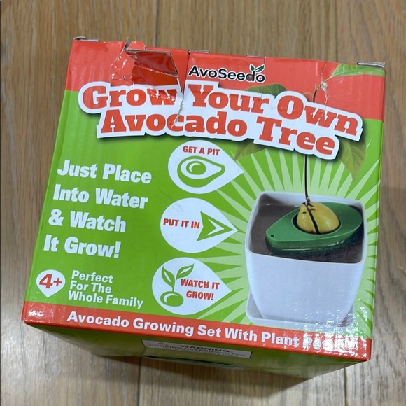 avoseedo | Kitchen | Avoseedo Avocado Growing Set | Poshmark